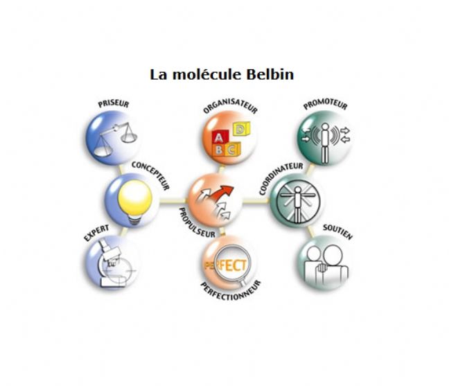 Expert, organisateur, coordinateur... 9 profils pour mieux comprendre ...