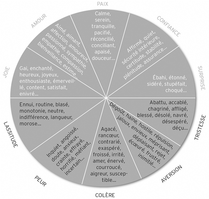 La Roue des émotions